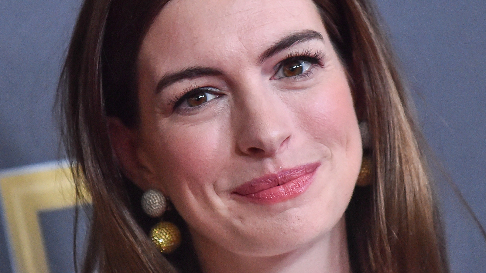 Anne Hathaway's Dad Has A Little-Known Role In The Princess Diaries