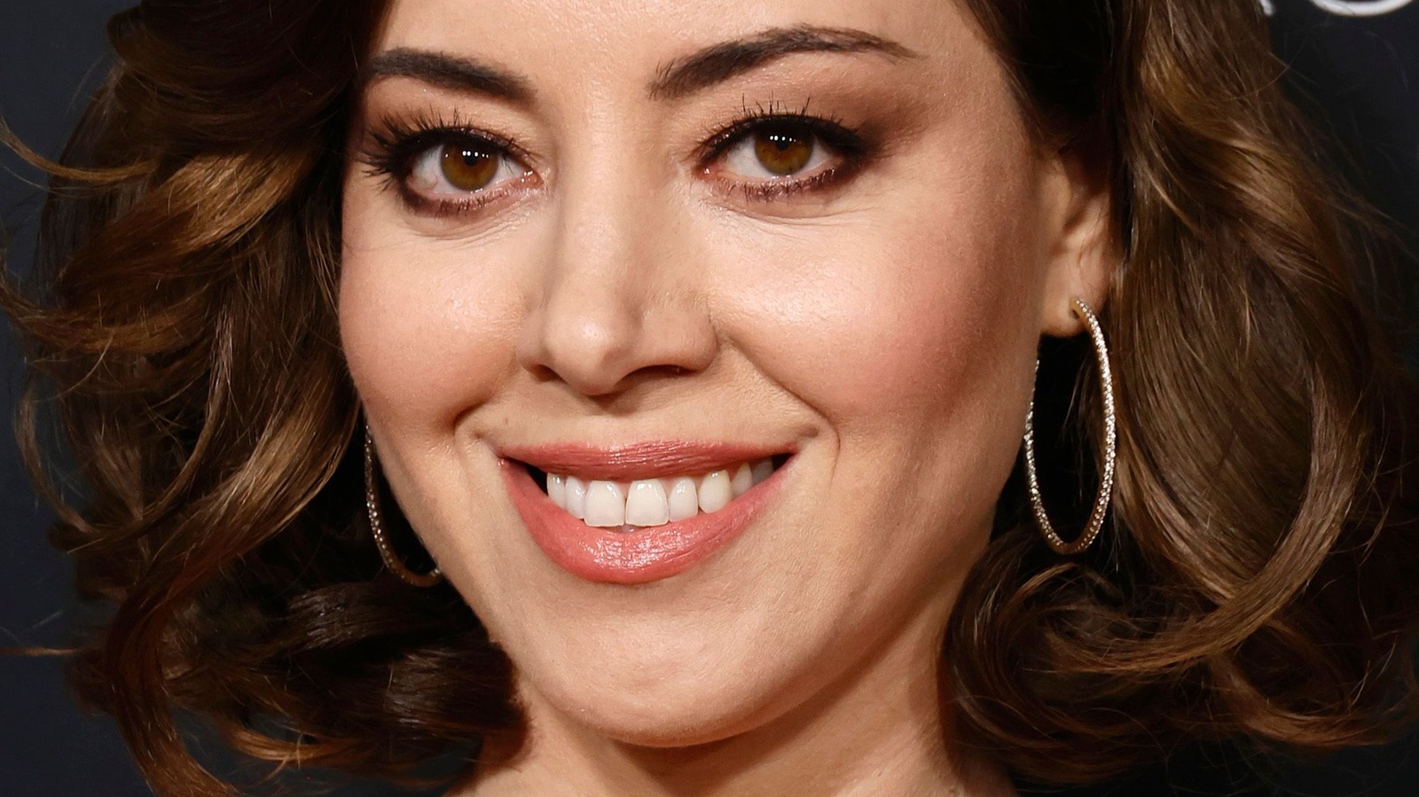 Amy Poehler Agus Aubrey Plaza Amy Poehler Reunites With Parks And