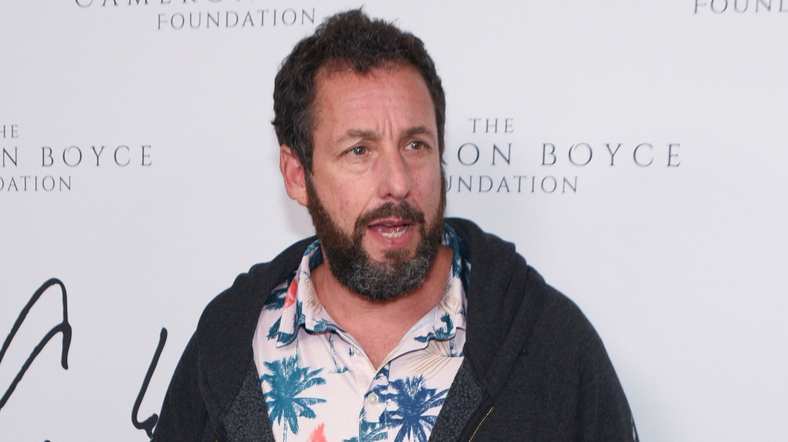 Celebs Who Clearly Can't Stand Adam Sandler