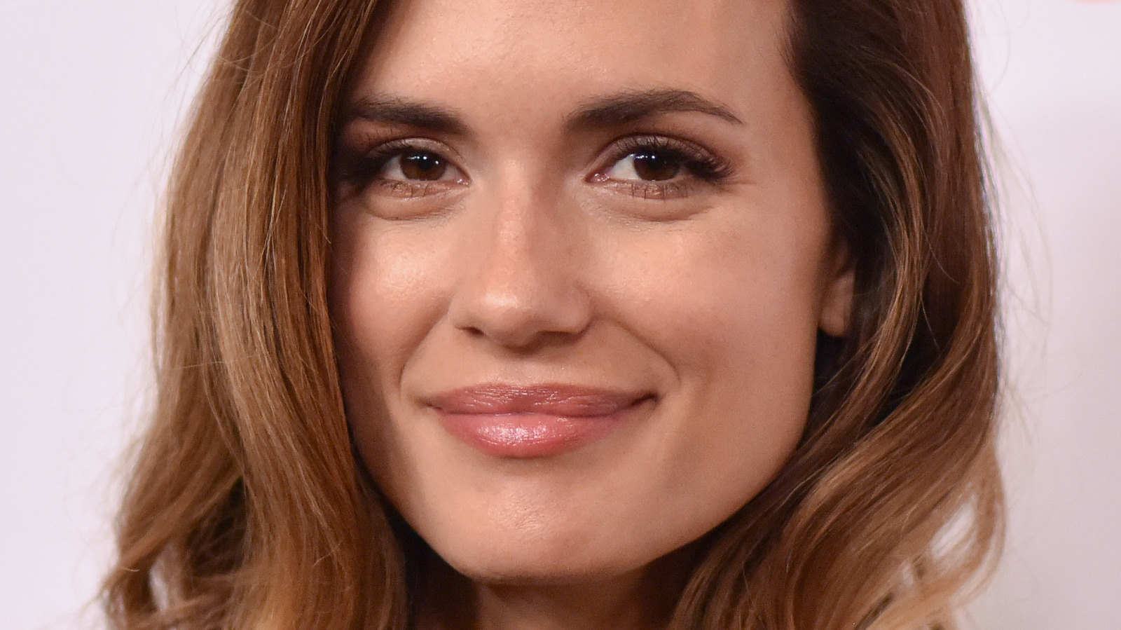 Chicago Med's Torrey DeVitto Used To Date This Blue Bloods Star