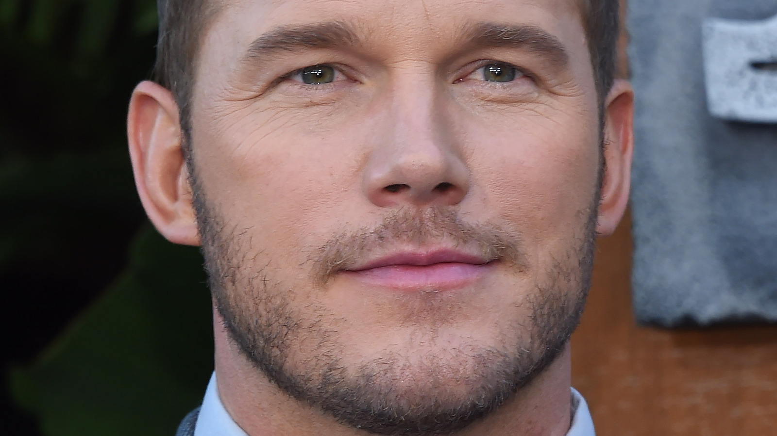Chris Pratt's Son Jack Stole All The Attention In The Actor's New Selfie