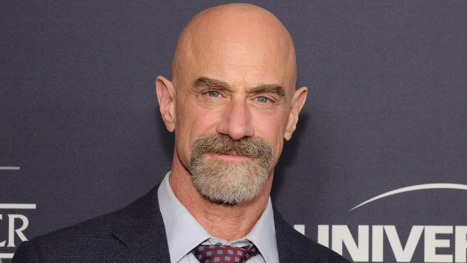 Christopher Meloni's Son Dante Has Grown Up To Be His Dad's Twin
