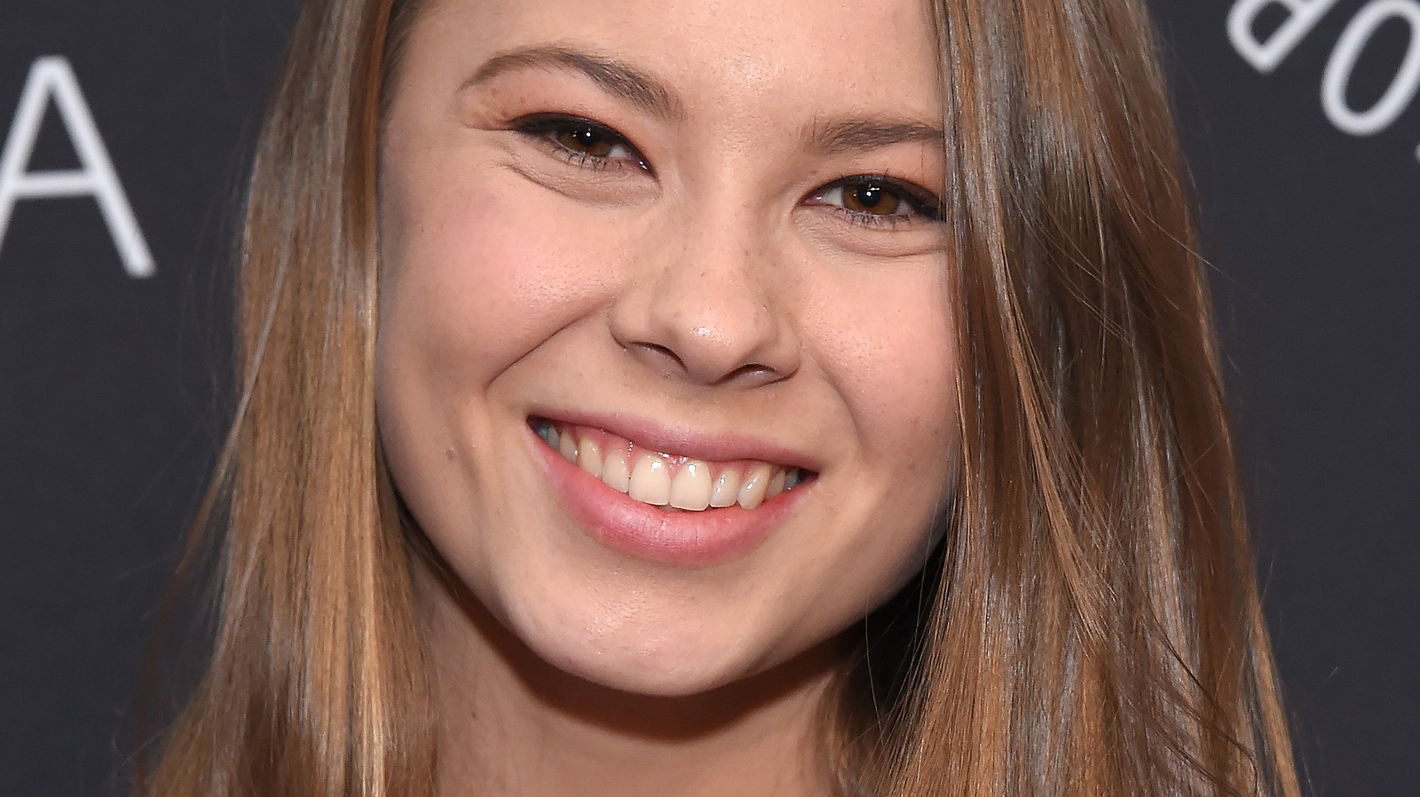 Crikey! It's The Irwins Season 4 - Here's What We Can Tell Fans So Far