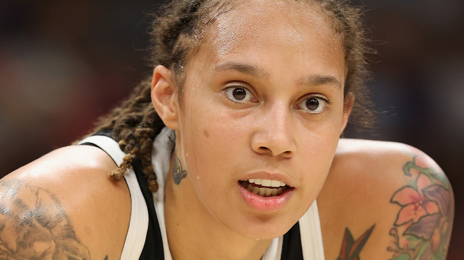 Dennis Rodman Backs Out Of Russia Trip To Help Brittney Griner