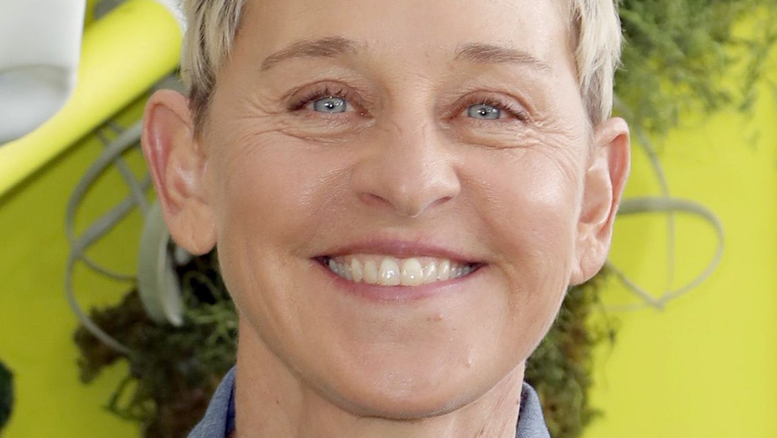 Ellen's Game Of Games Season 5 - Here's What We Can Tell Fans So Far