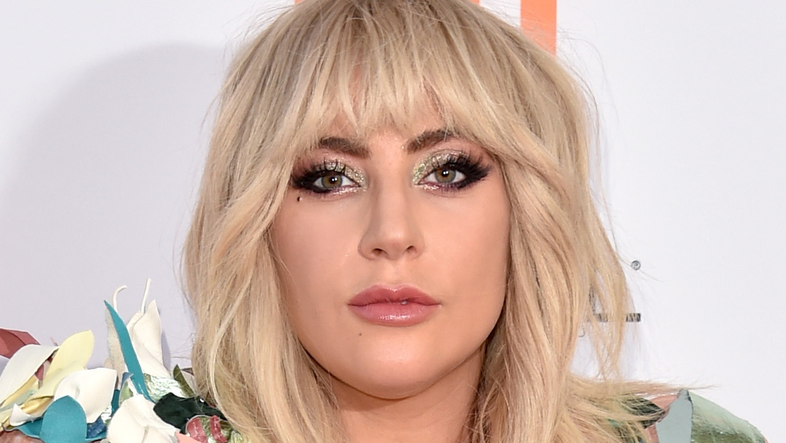 Here's How Much Prison Time Lady Gaga's Dog Thieves Could Be Facing