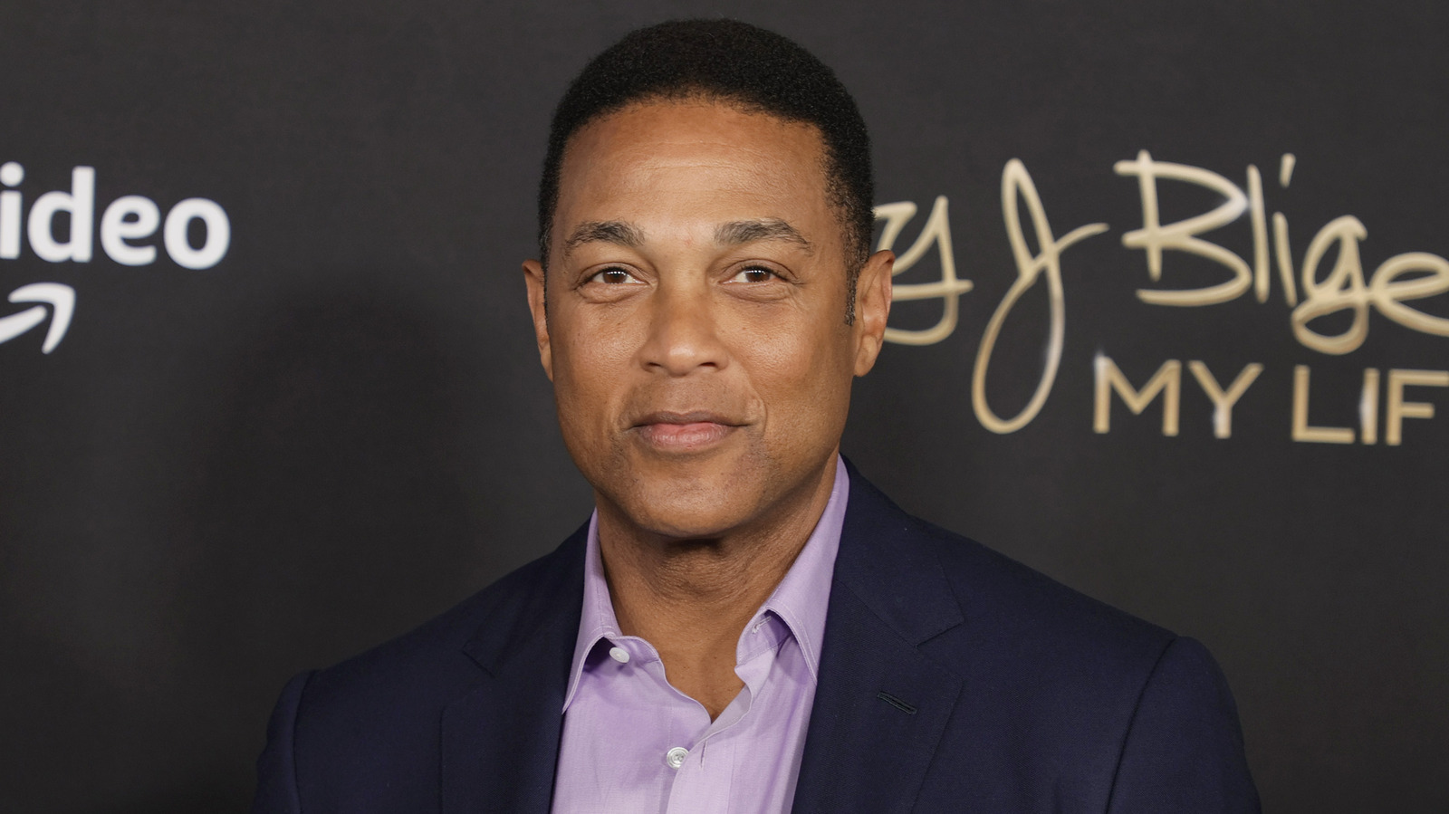 Here's The Real Reasons Don Lemon Can't Stand Nikki Haley
