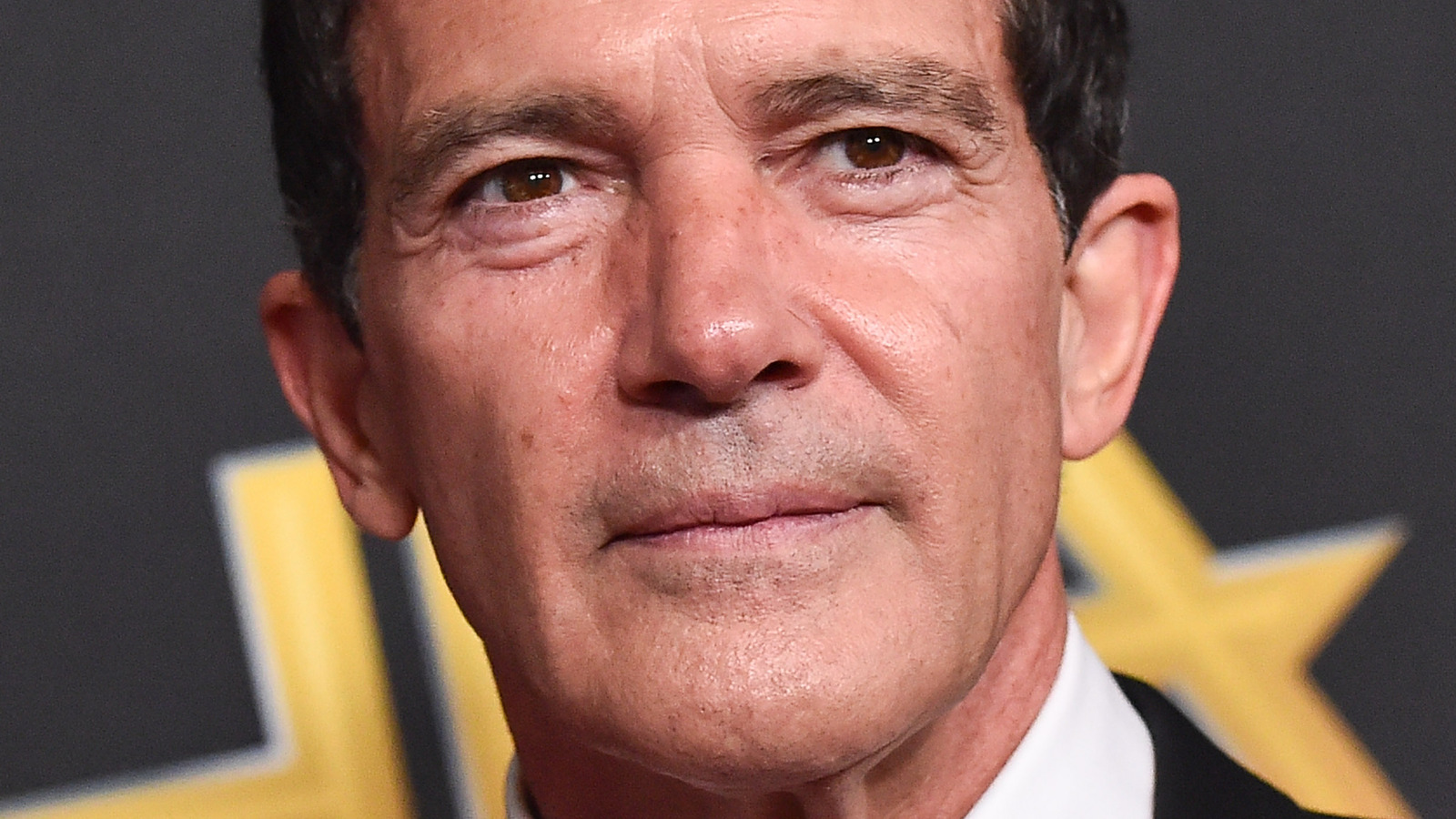 How Antonio Banderas' First Wife Stole Everything From Him