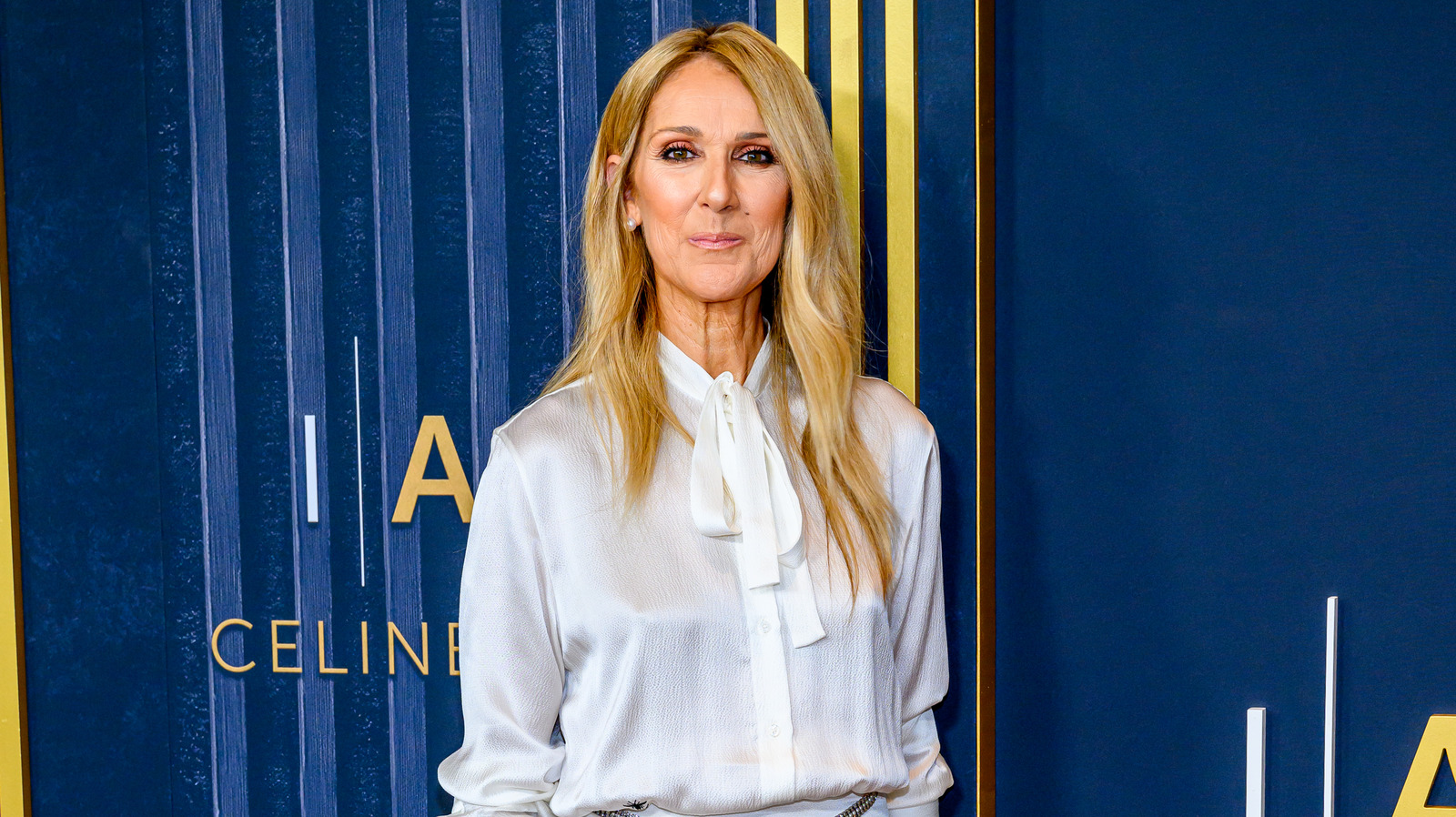 How Celine Dion Brutally Confirmed She Can't Stand Donald Trump