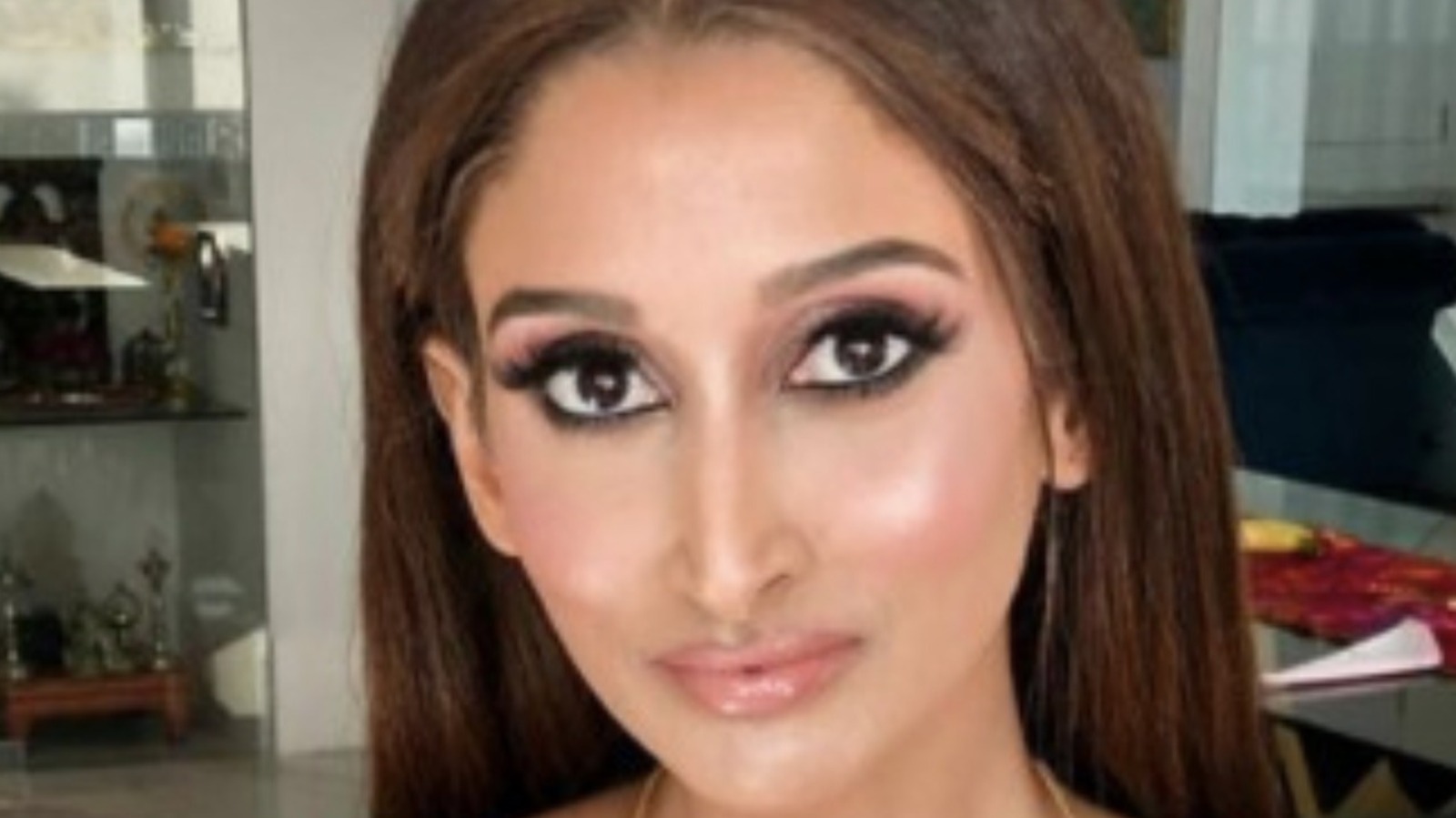 How Much Is Anisha Ramakrishna From Family Karma Worth?