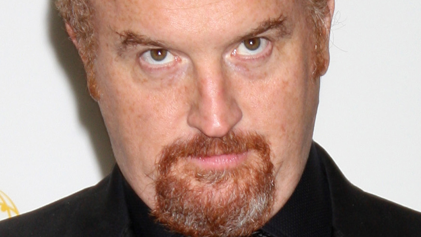 Inside Louis C.K.'s Life Since His Scandal Was Revealed
