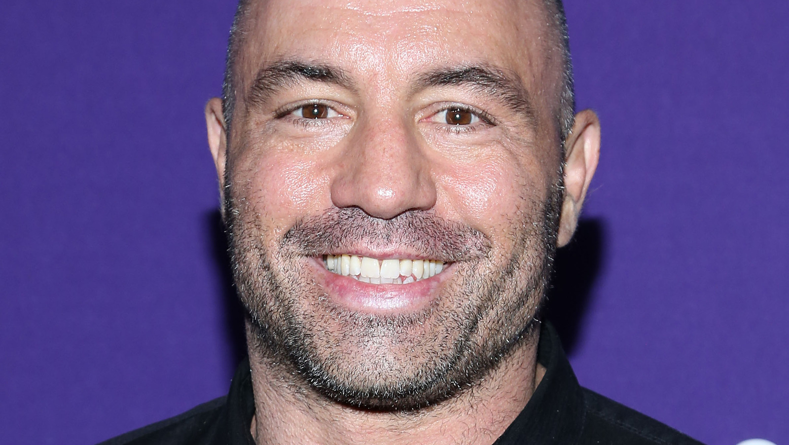 Joe Rogan Has A Surprising Pick For Johnny Depp's Next Romantic Partner