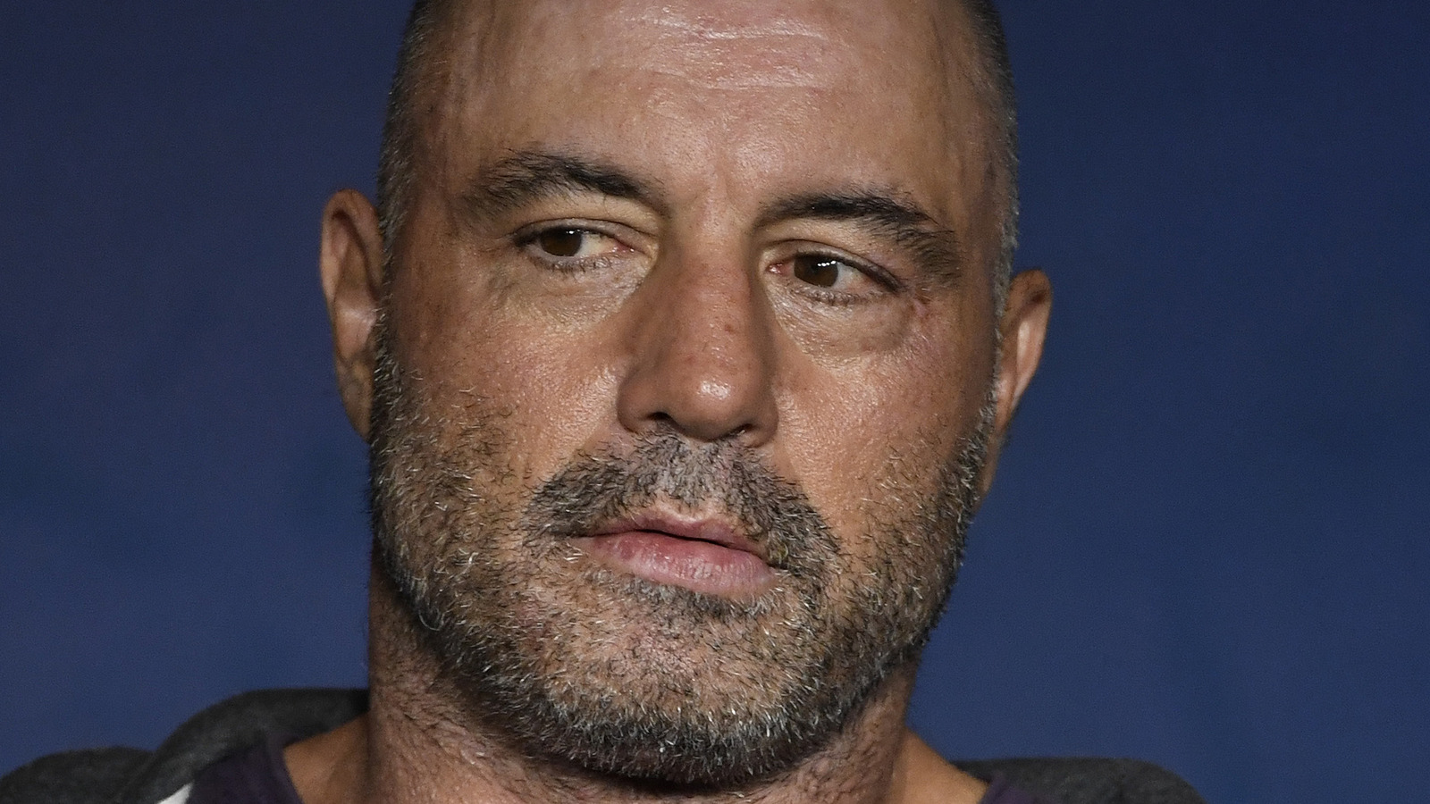 Joe Rogan's Controversial Comment On Unhoused People Is Met With Fury