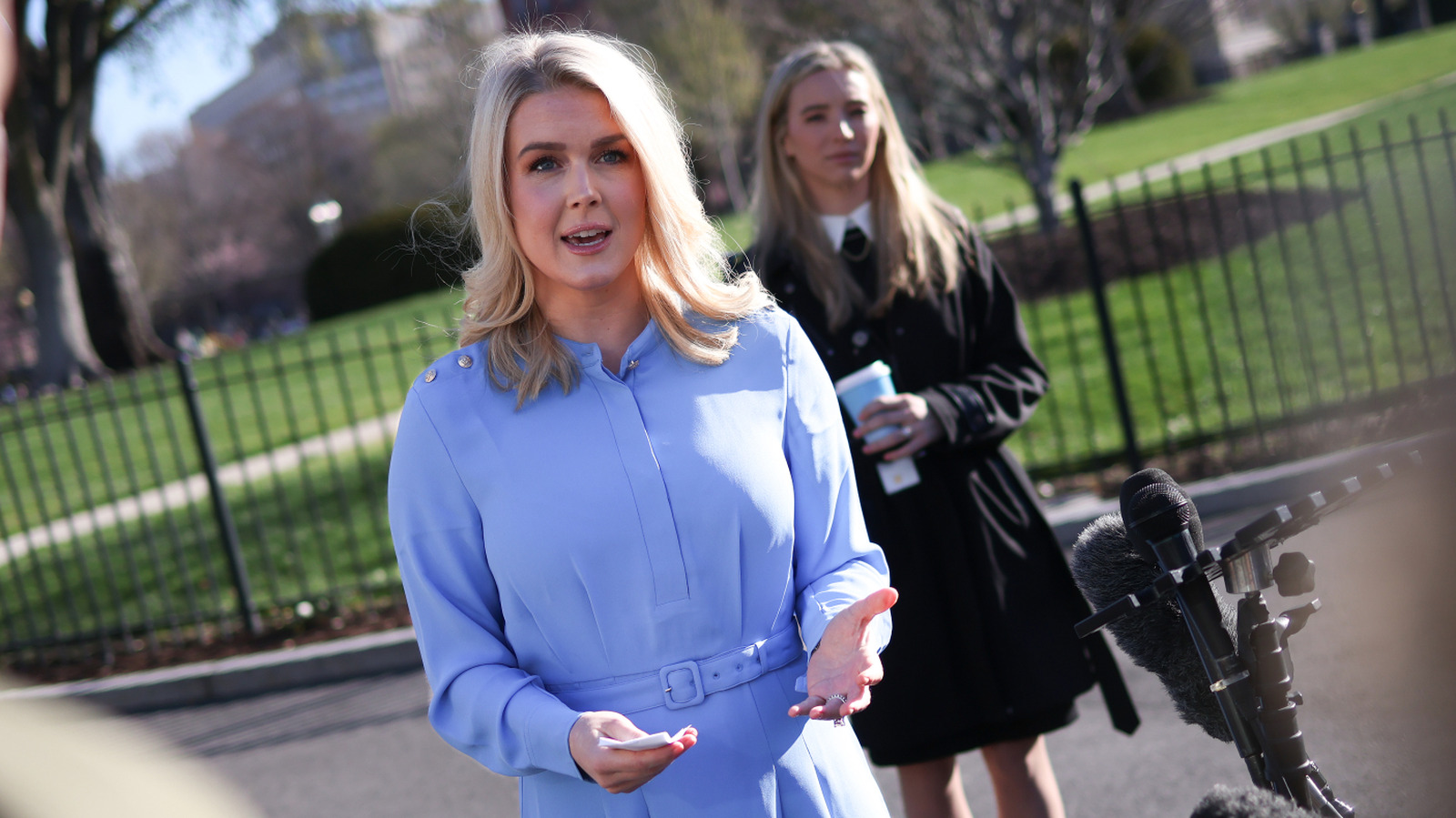 Karoline Leavitt's Fresh Tan Can't Distract From Another Bad Case Of ...