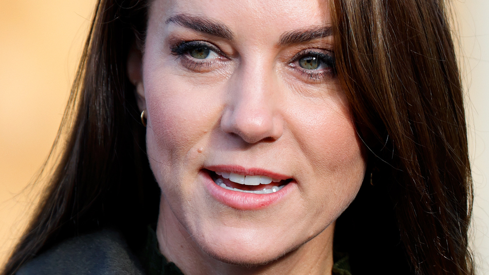 Kate Parent's Instagram, Twitter & Facebook on IDCrawl