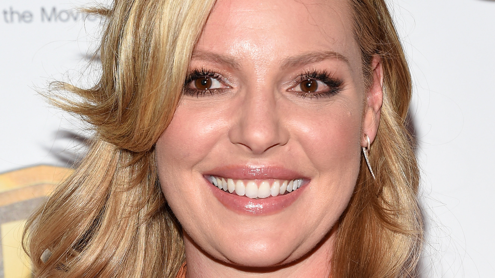 Katherine Heigl's Brother-In-Law Is A Famous Country Star