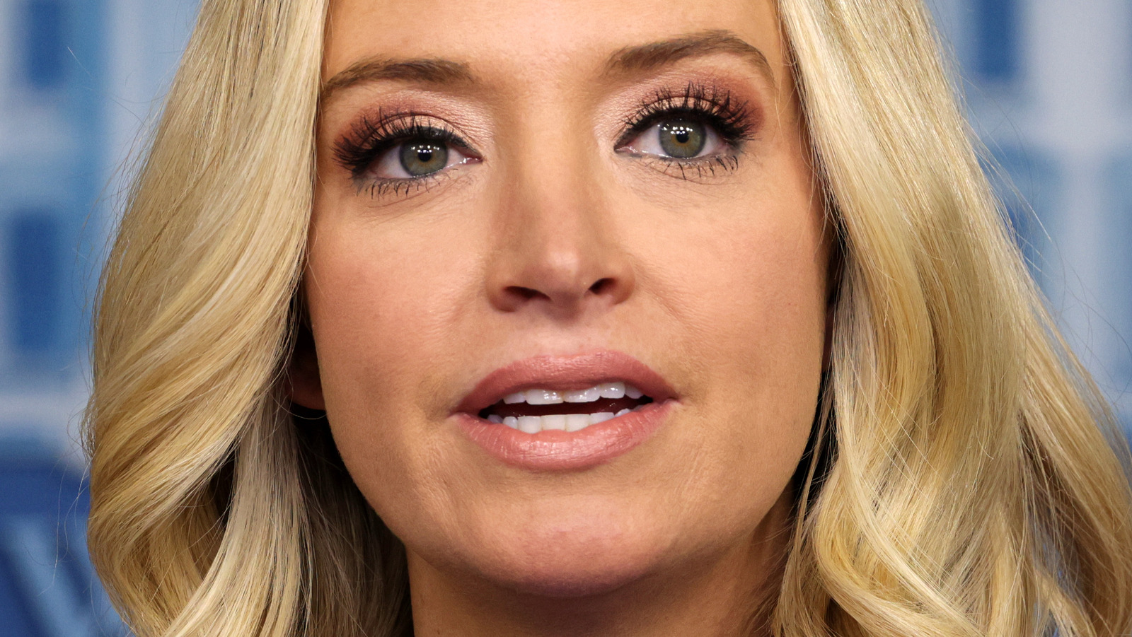 Kayleigh McEnany Sets The Record Straight On Donald Trump's Experience ...