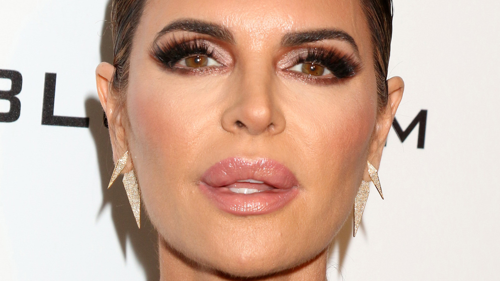 Lisa Rinna's Feelings About Scott Disick Explained