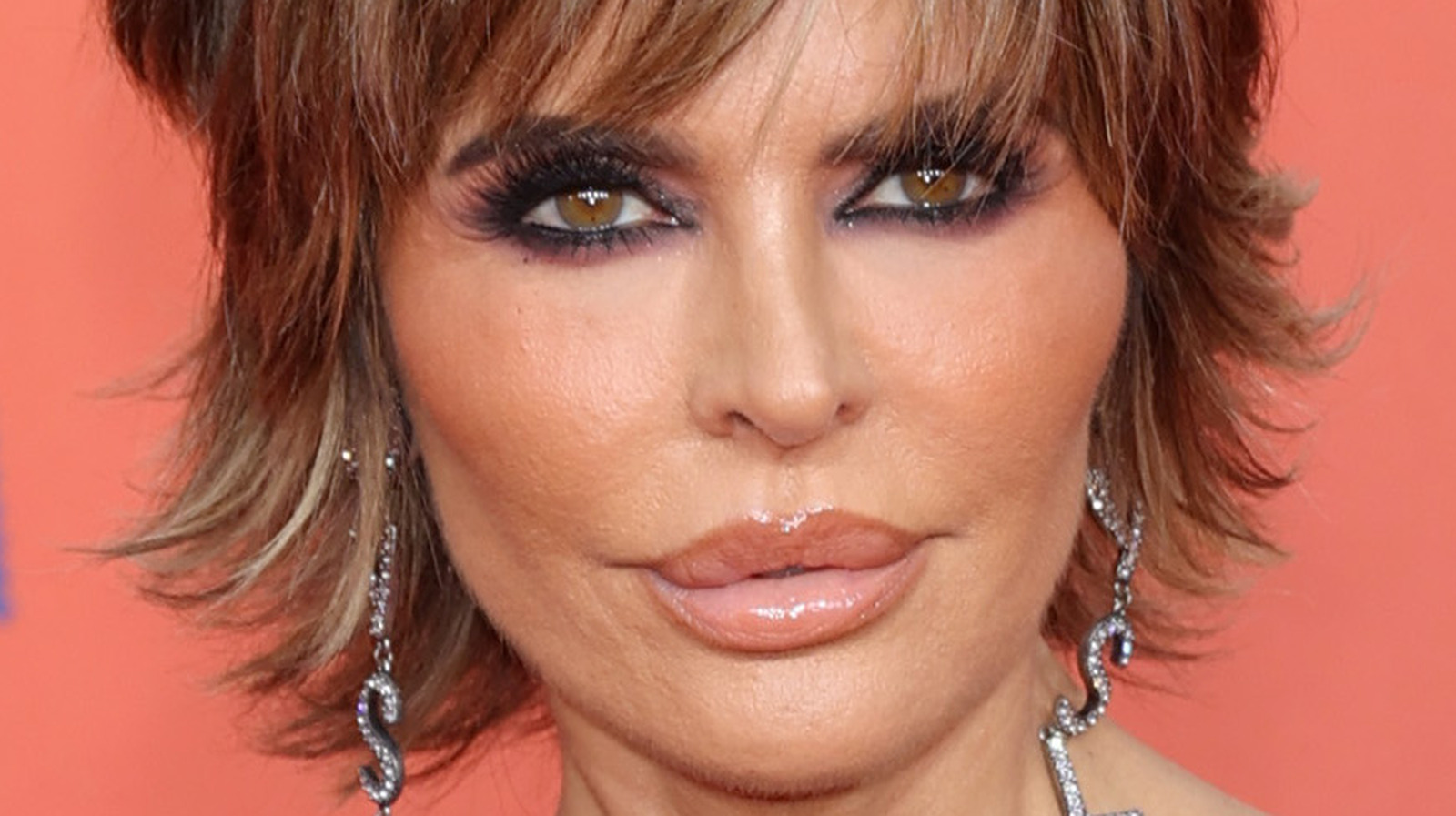 Lisa Rinna's Social Media Behavior Has Fans Curious About Her RHOBH Future