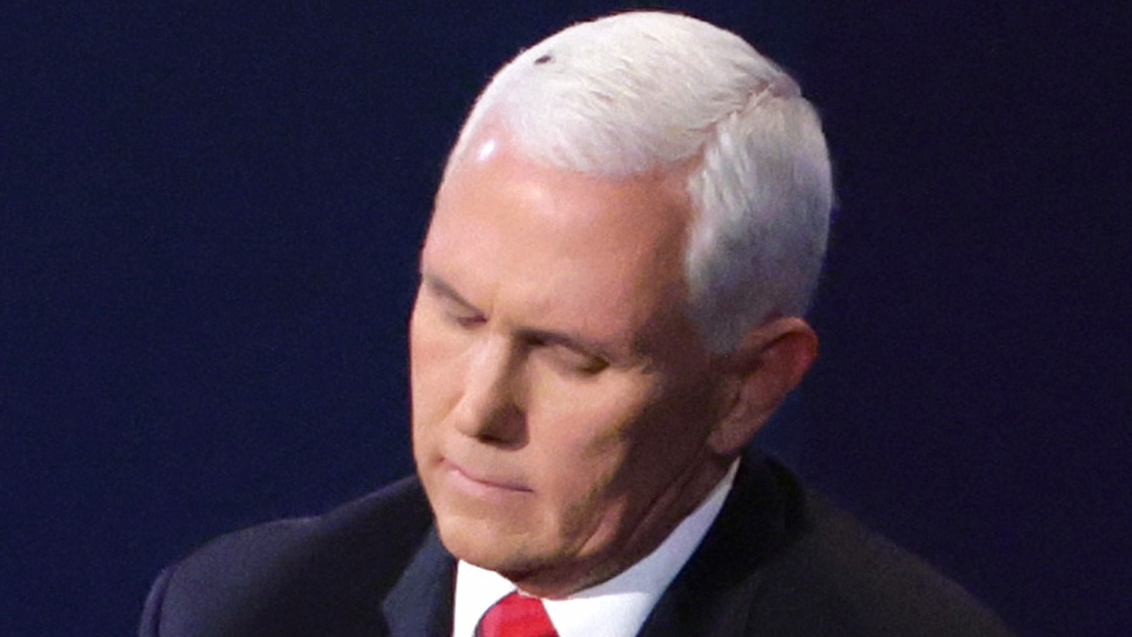 Mike Pence Breaks His Silence On The Debate's Famous Fly