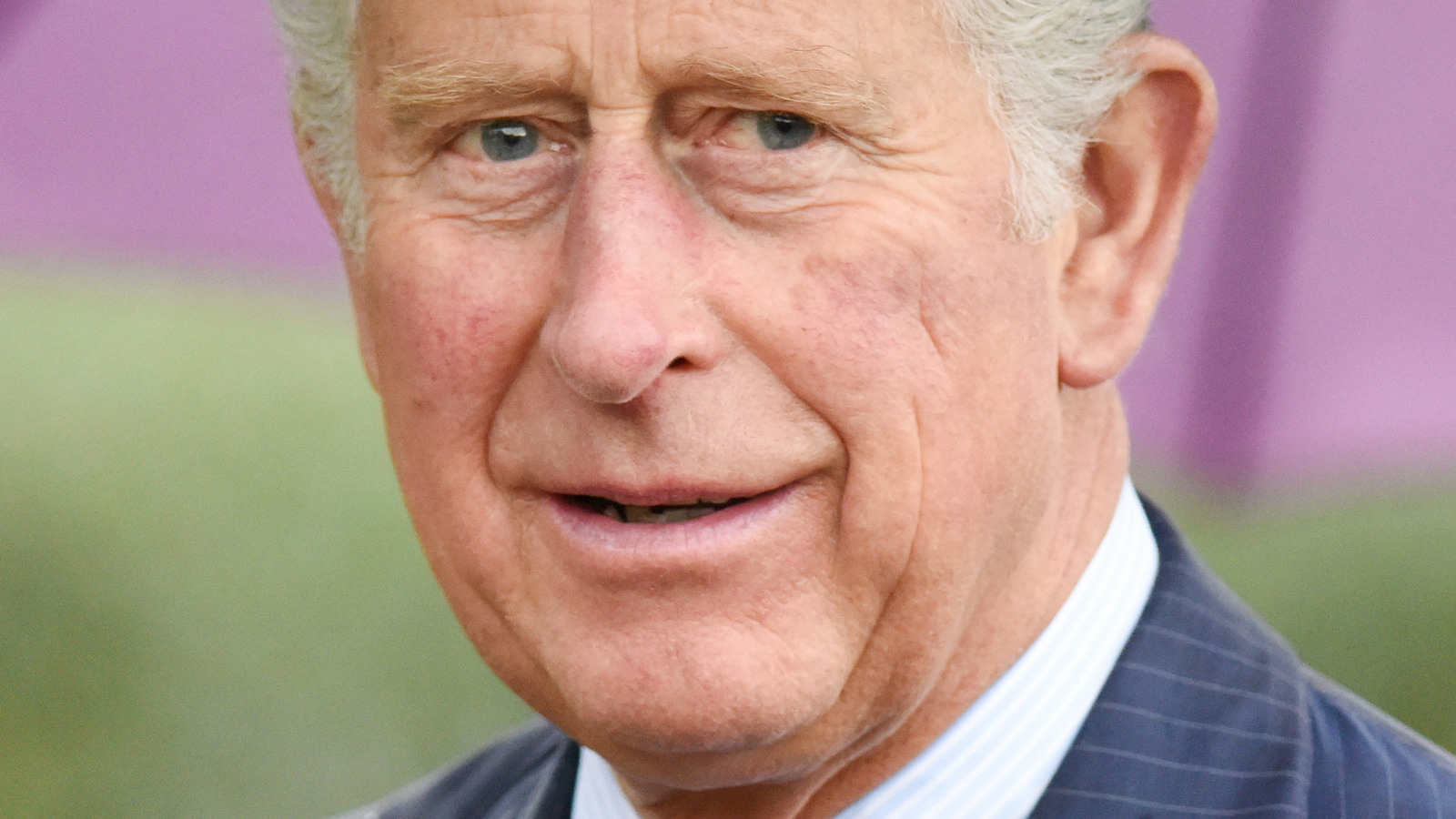 Prince Charles Just Got Some Great News Regarding His Kingship