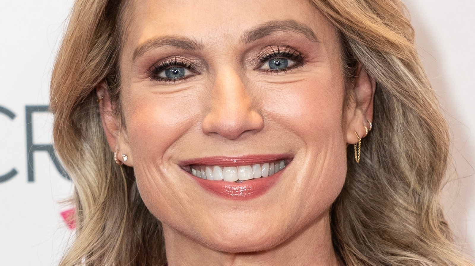Red Flags About Amy Robach And TJ Holmes' Relationship