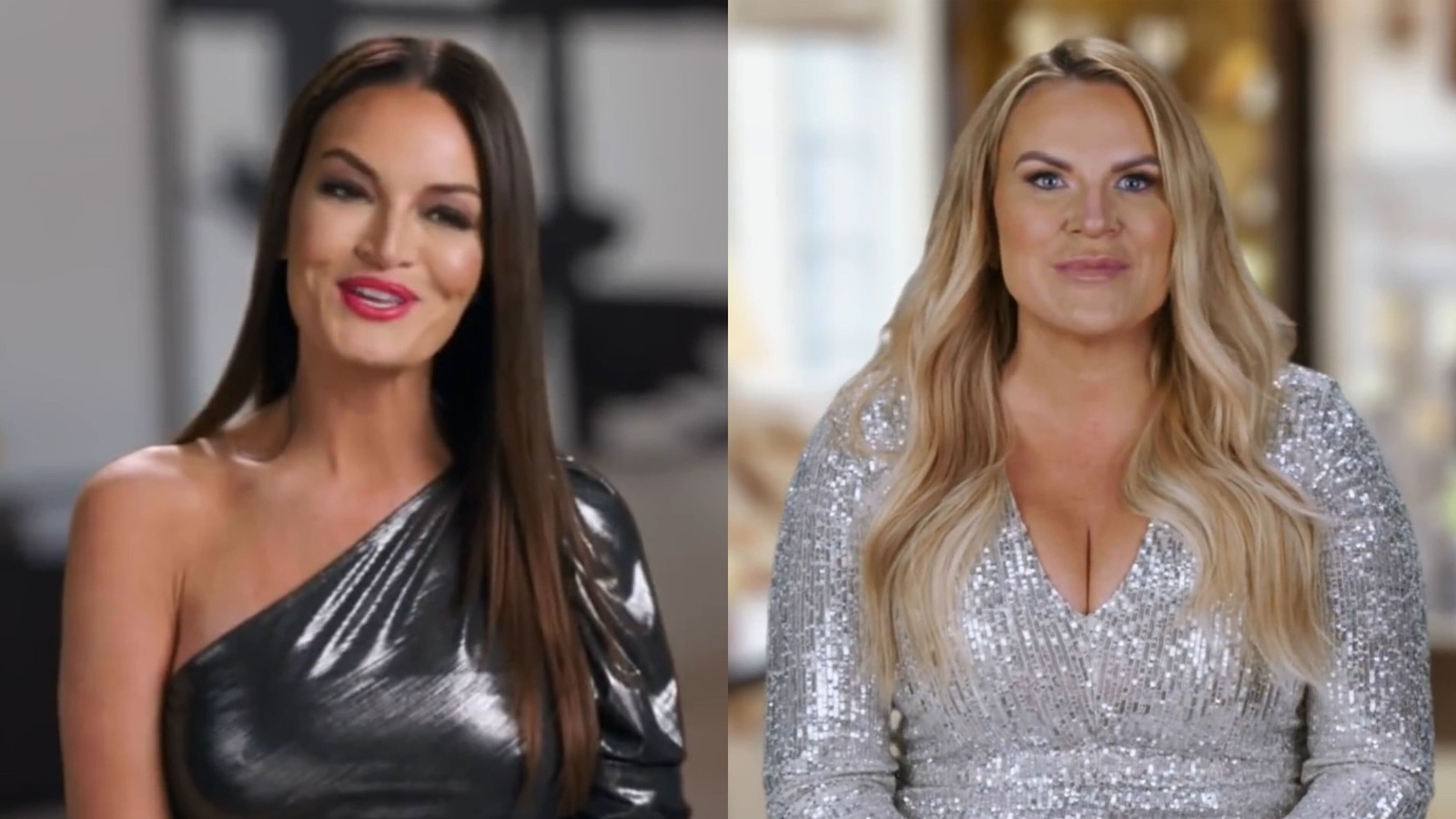 RHOSLC: The Truth About Lisa And Heather's Relationship