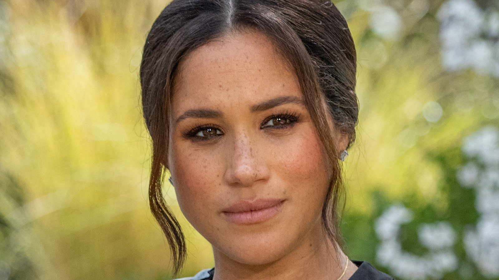 Royal Expert Believes They Know Who Said The Racist Remark About Archie