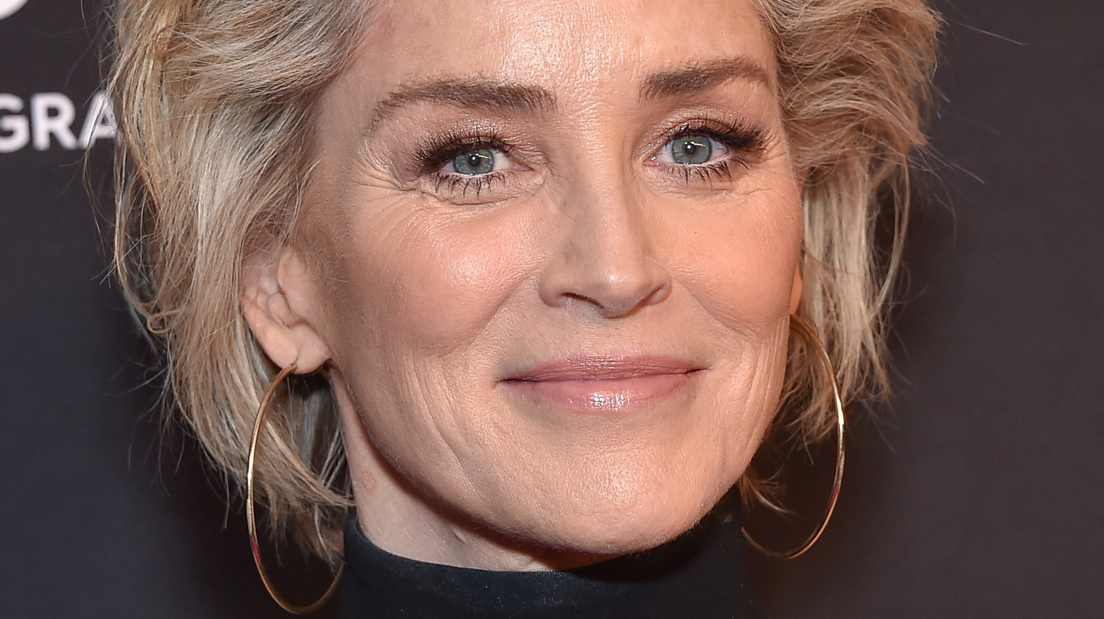 Sharon Stone Has Fiery Words For Joe Rogan Amid Spotify Controversy