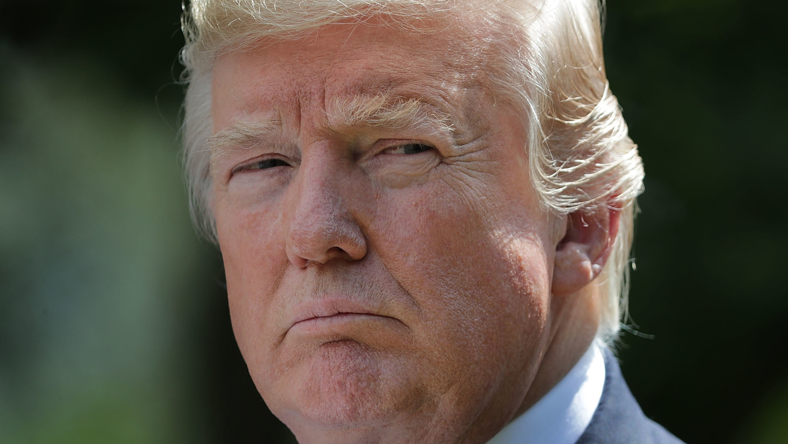 The Forgotten Donald Trump Interview That's Hard To Watch Now