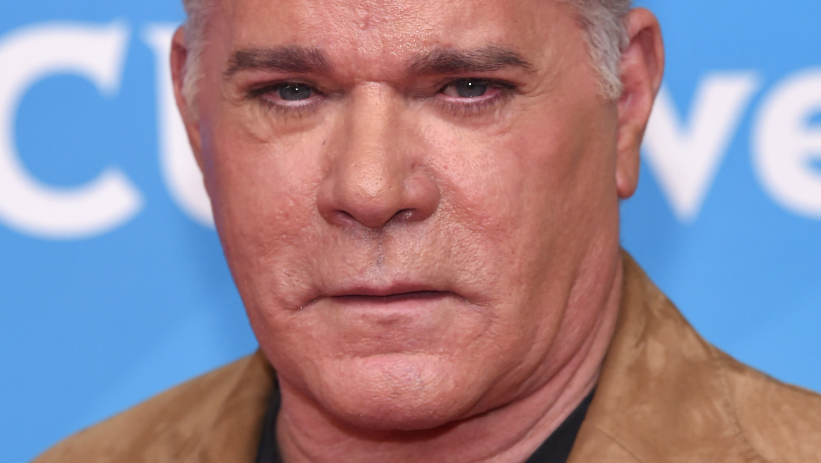 The Iconic Sitcom Role That Nearly Went To Ray Liotta