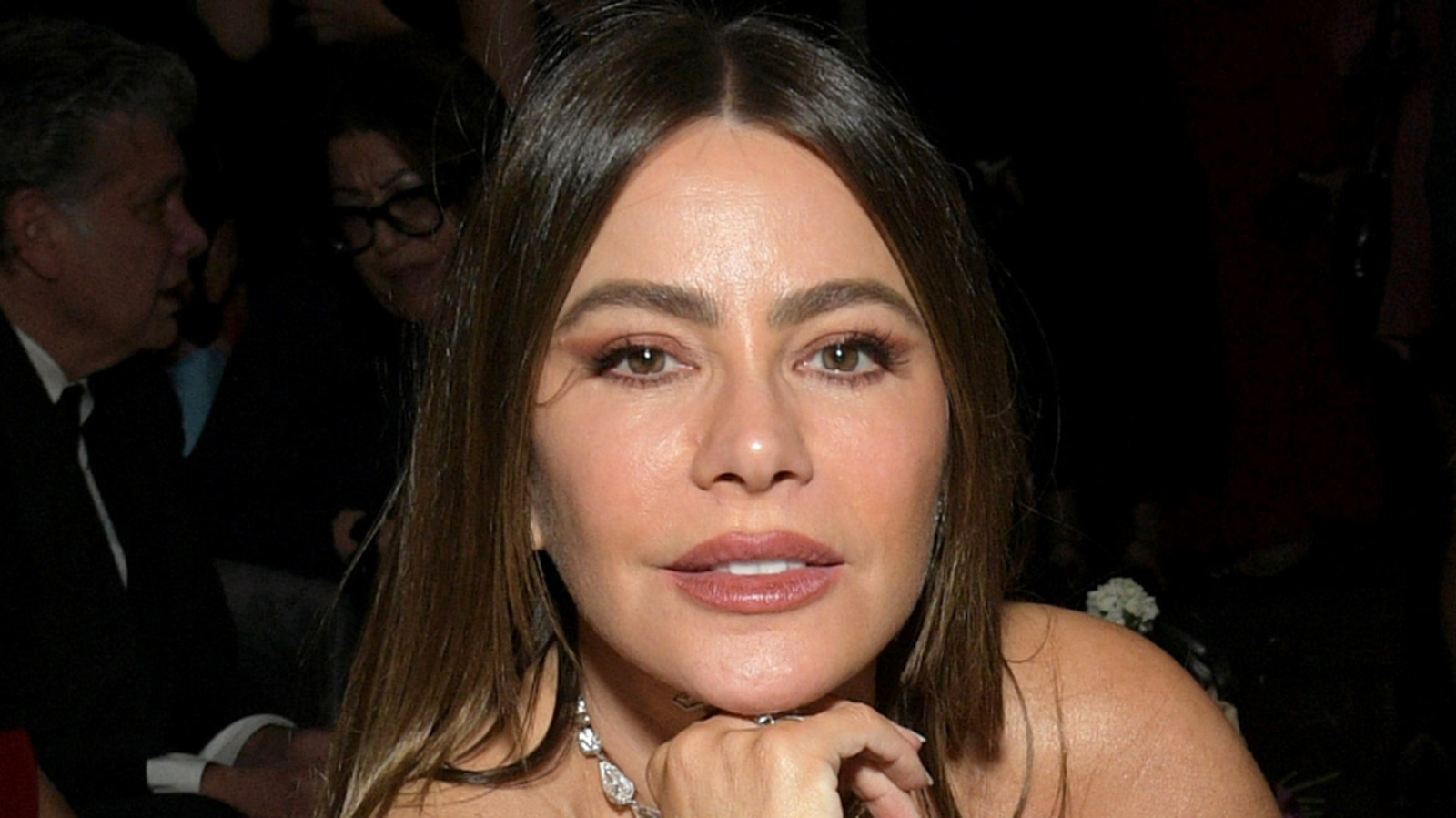 The Most Revealing Outfits Sofia Vergara Has Worn