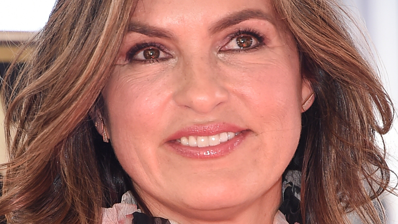 The NCIS Star Who's Good Friends With Mariska Hargitay