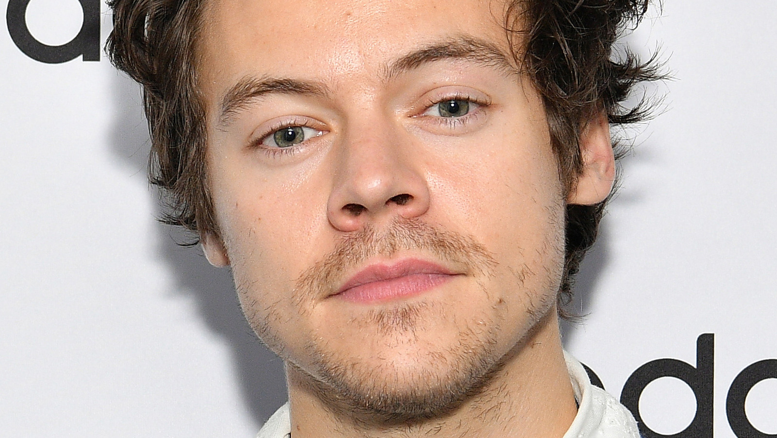 The Real Reason Harry Styles Lost The Role Of Elvis