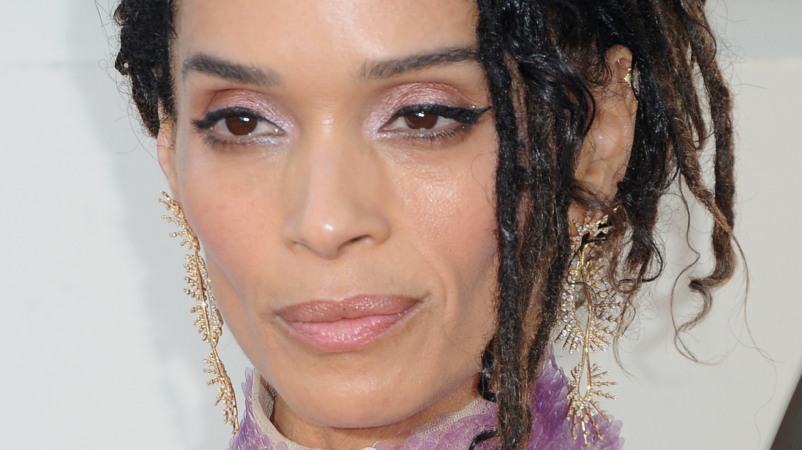 The Real Reason Lisa Bonet And Lenny Kravitz Got Divorced
