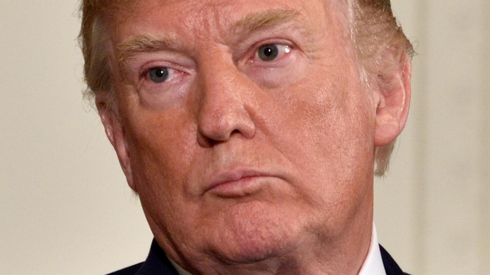 The Shocking Thing Donald Trump Just Said About The Accidental Shooting ...