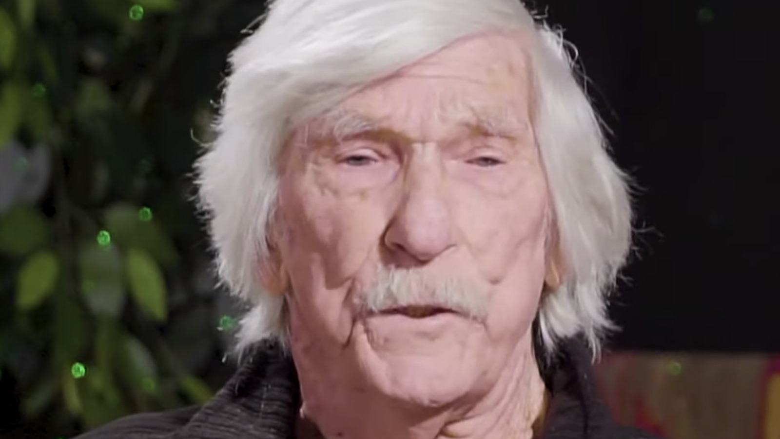 The Tragic Death Of Actor And Director L.Q. Jones - TrendRadars