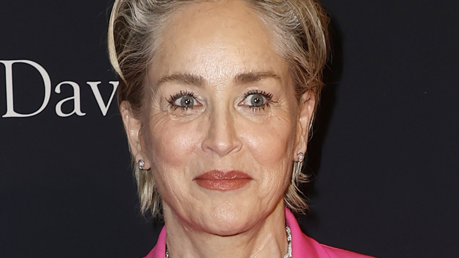 The Tragic Death Of Sharon Stone's Brother Patrick