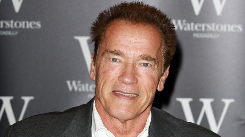 The Transformation Of Arnold Schwarzenegger From 1 To 74