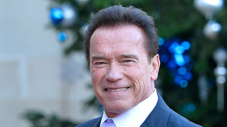 The Transformation Of Arnold Schwarzenegger From 1 To 74