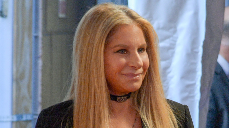 The Truth About Barbra Streisand's House