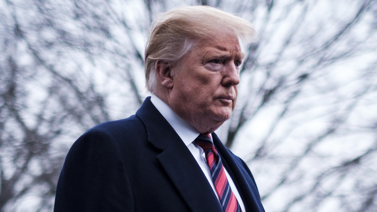 The Truth About Donald Trump's COVID-19 Risk Factors