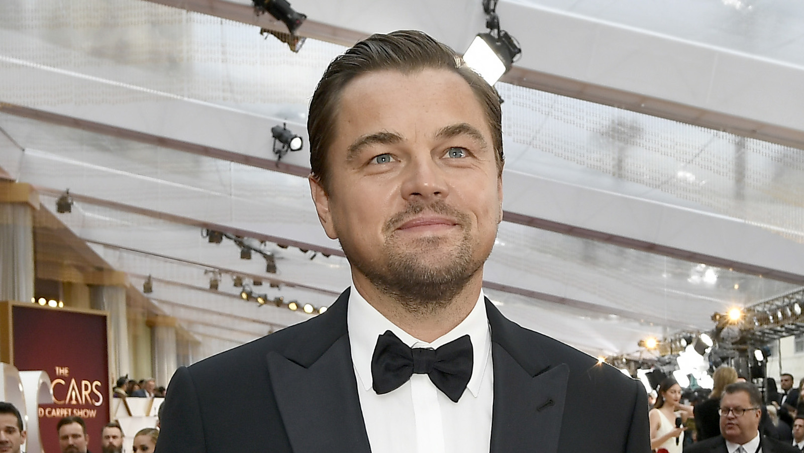 The Truth About Leonardo DiCaprio's Island