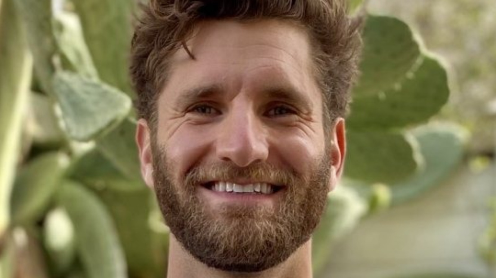 The Truth About The Bachelorette's Viktor Simco