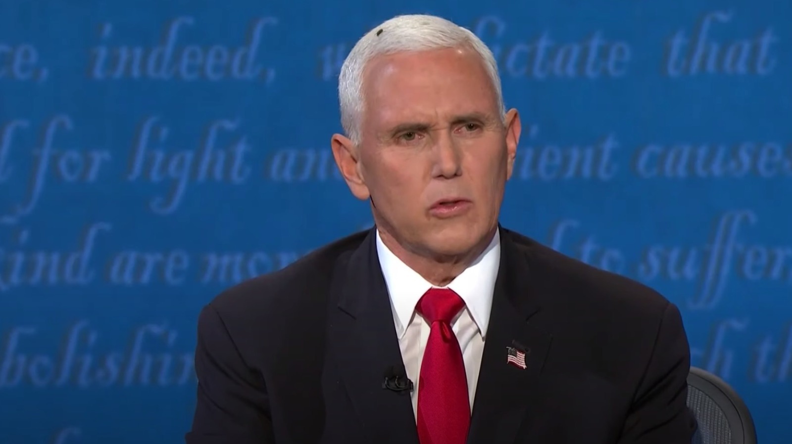 The Truth About The Fly In Mike Pence's Hair During The Debate