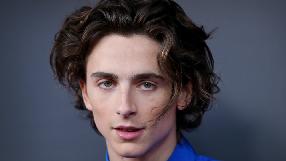 The Untold Truth Of Timothee Chalamet
