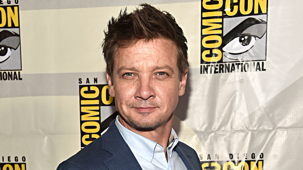 The Double Life Of Jeremy Renner