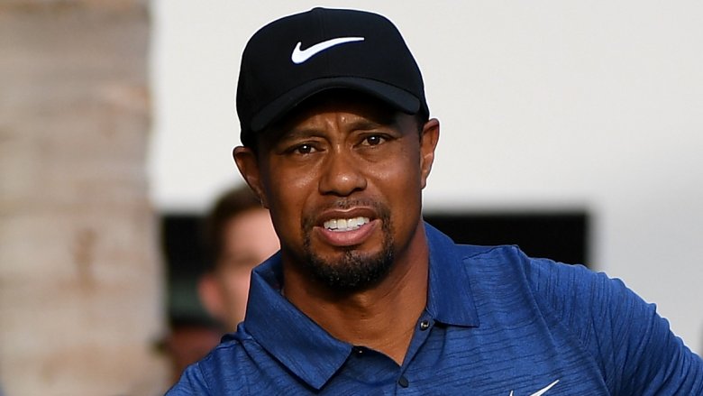 We Finally Know What Went Wrong Between Tiger Woods And Elin Nordegren