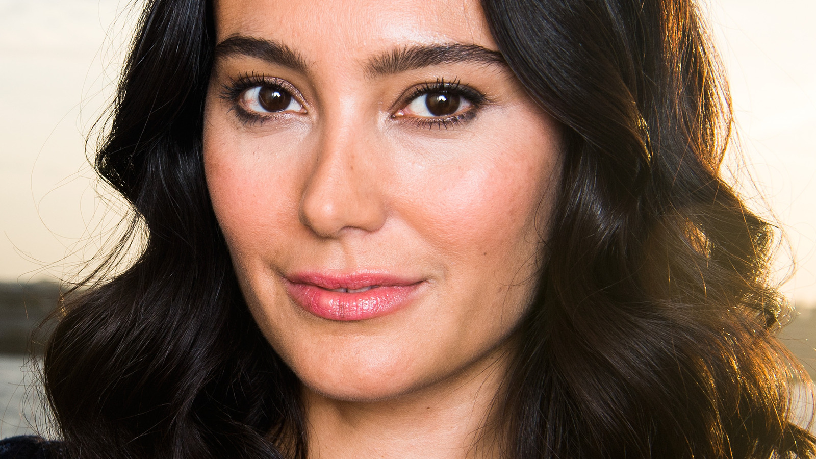 What Bruce Willis' Wife Emma Heming Does For A Living