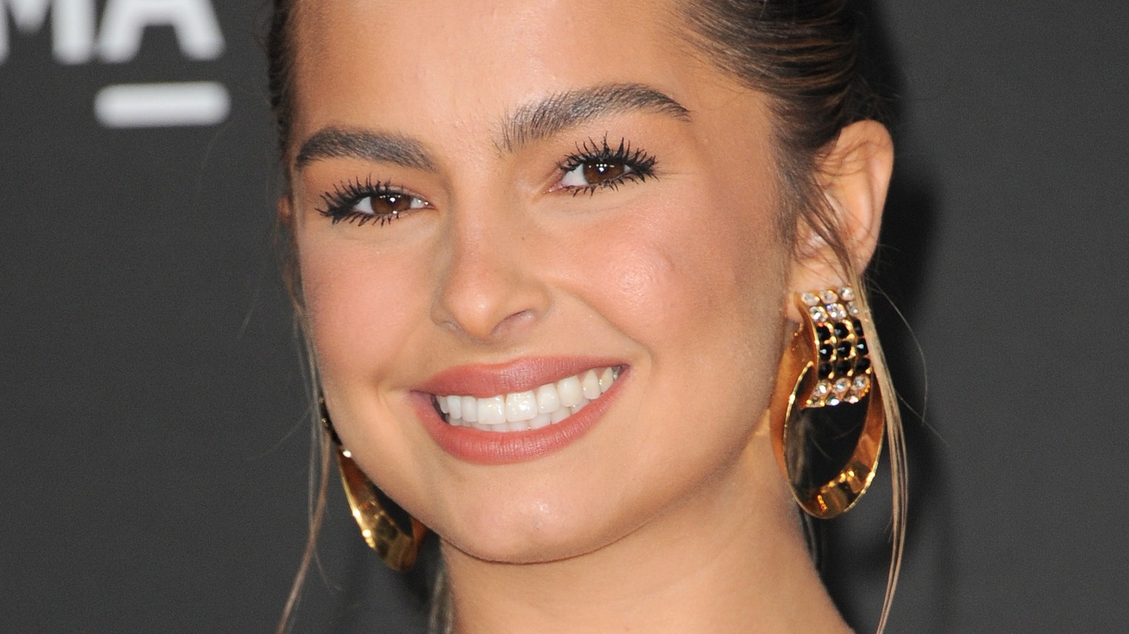 What Do Addison Rae's Parents Do For A Living?